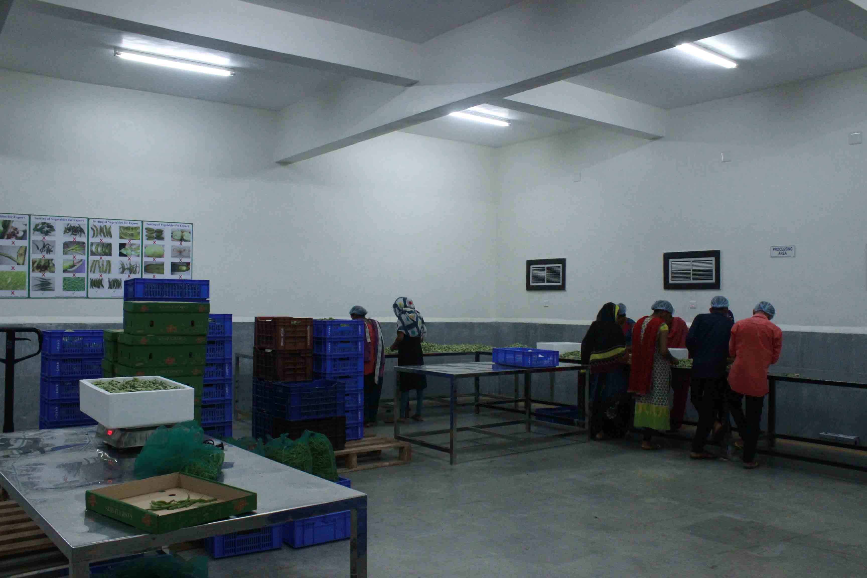 Integrated Packhouse and Cold Storage – THE MERIT LIST