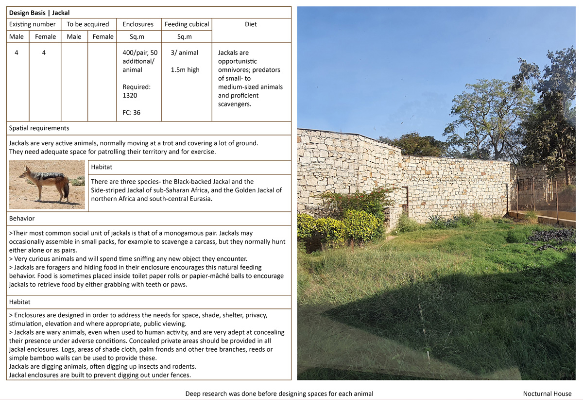 Nocturnal Home: Designing spaces for animals – THE MERIT LIST